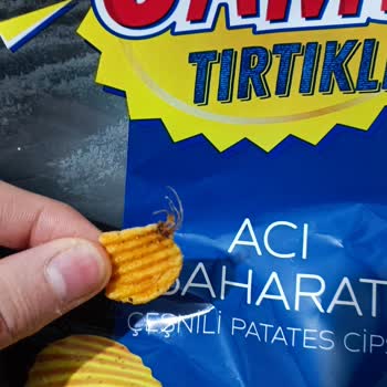 A101 Samba Cips Böcek Çıktı - Şikayetvar