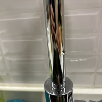 Kale Marka Kaplaması Dökülen Musluk Bataryası - Şikayetvar