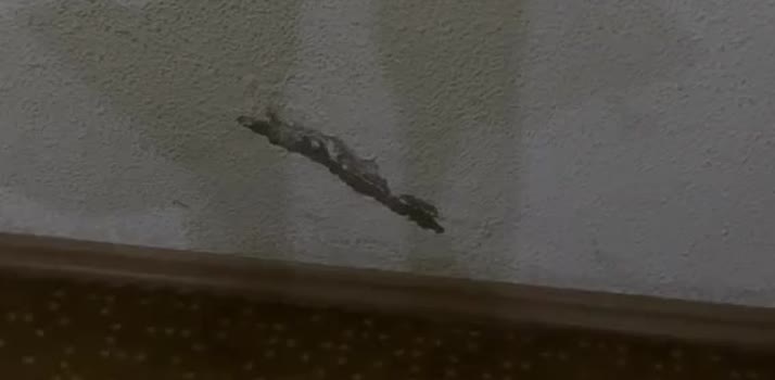 Boray Tour Boray Organizasyon Tur Deneyimimizde Yaşadığımız Sorunlar ...