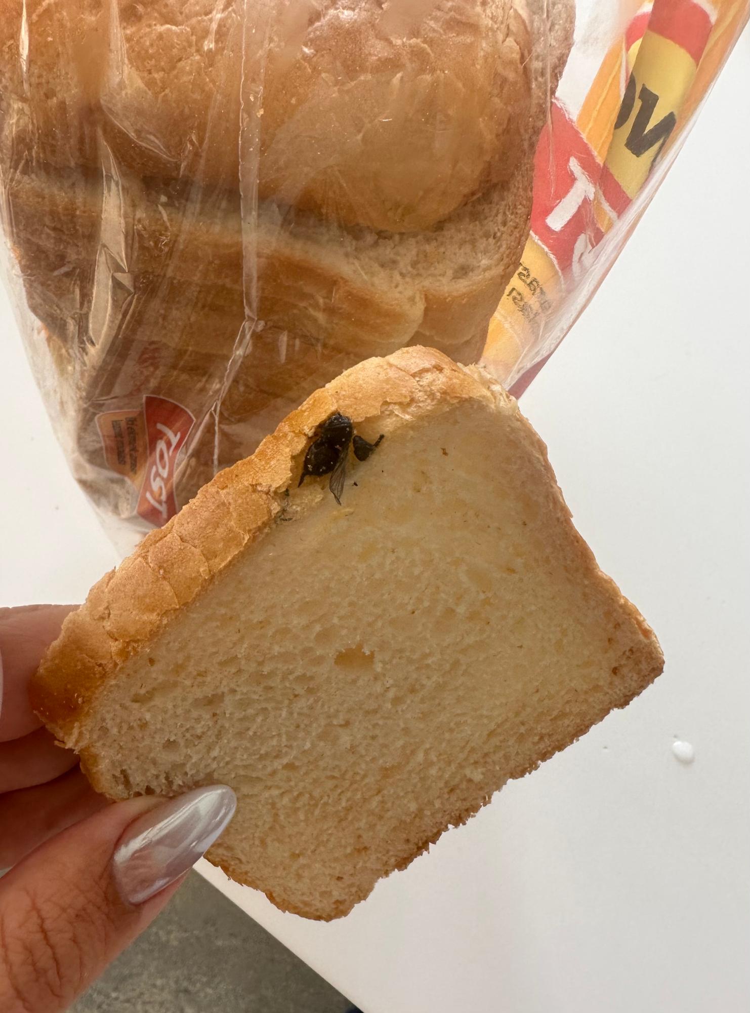 UNO Tost Ekmeğinde Siyah Sinek Bulundu - Şikayetvar UNO Tost Ekmeğinde Siyah Sinek Bulundu - Şikayetvar