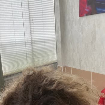 Hüseyin Alkan Hair Artist Saç Boyama - Şikayetvar