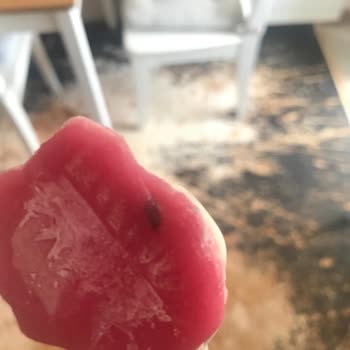 Algida Buzzy Çilek Dondurmasından Sinek Ölüsü Çıktı - Şikayetvar