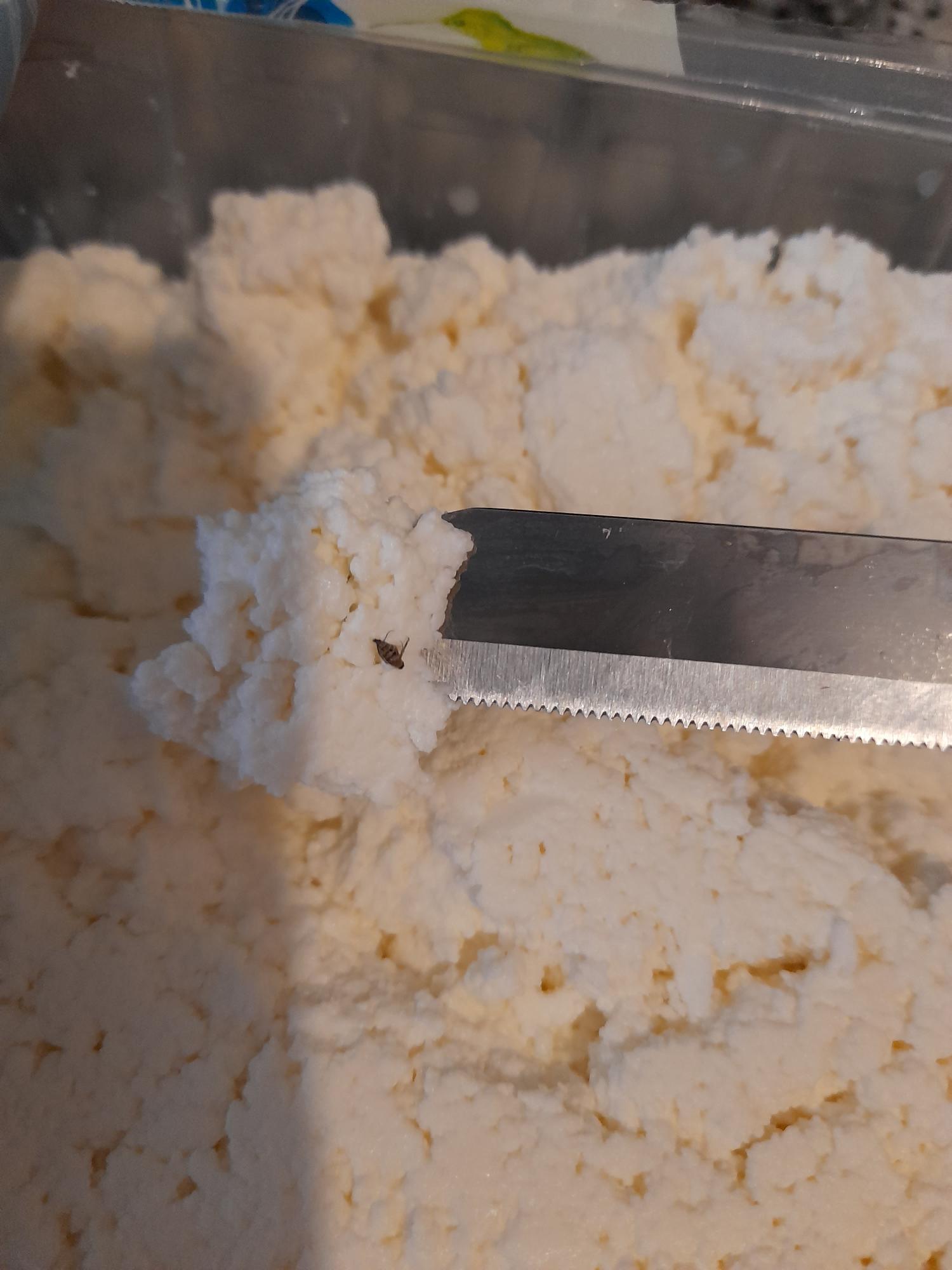 Torku Lor Peyniri İçinden Çıkan Böcek - Şikayetvar