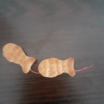 Şimşek Bisküvi ve Gıda - Şikayetvar