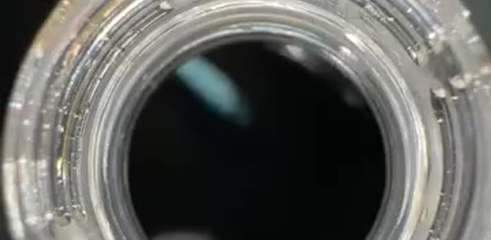 Coca-Cola Böcek Ve Taşlar - Şikayetvar