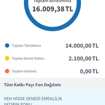 Türkiye Hayat Emeklilik A. Ş VGA Altın Fonu Düşük Getiri Getirmesi - Şikayetvar