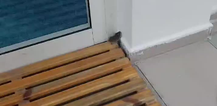 Kredi ve Yurtlar Kurumu Yurd Hijyen Kuralları İhlali - Şikayetvar