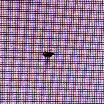 There is a Dead Fly Smack in the Middle of the Screen of Philips ...