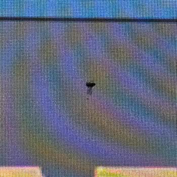 There is a Dead Fly Smack in the Middle of the Screen of Philips ...