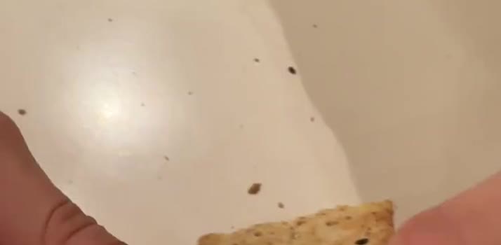 Ülker Altınbaşak Light Kıl Çıktı - Şikayetvar