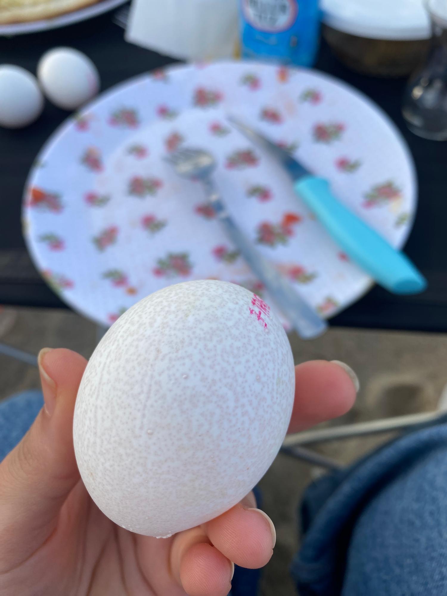 CP Piliç Yumurtadaki Beyaz Noktalar - Şikayetvar