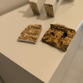 IKEA Stall Ayakkabılık Sunta Kalitesizliği - Şikayetvar