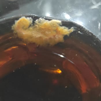 BİM Teatone Karpuz Çilek Aromalı İce Tea - Şikayetvar