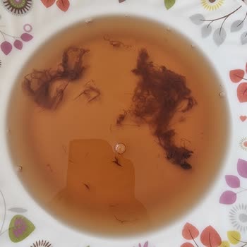 Çaykur Didi Acı Tat Ve Son Kullanma Tarihinin Olmaması - Şikayetvar