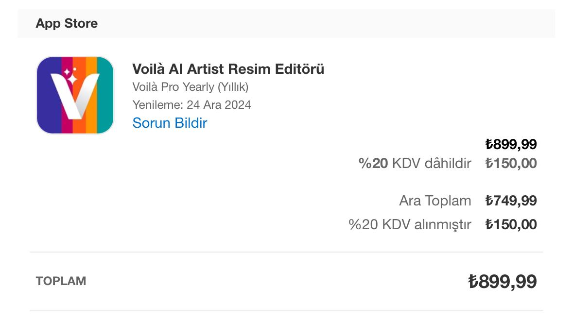 Voila Ai Artist App Uygulaması Haksız Kazanç - Şikayetvar