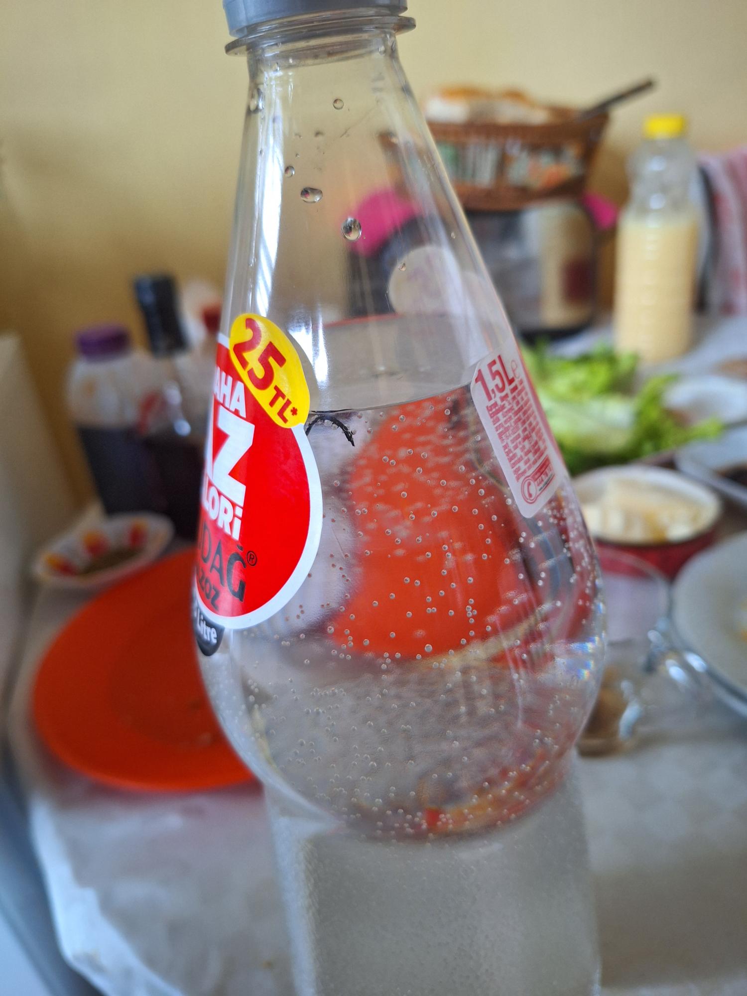 Uludağ İçecek Uludağ Gazozda Bilinmeyen Cisim. - Şikayetvar