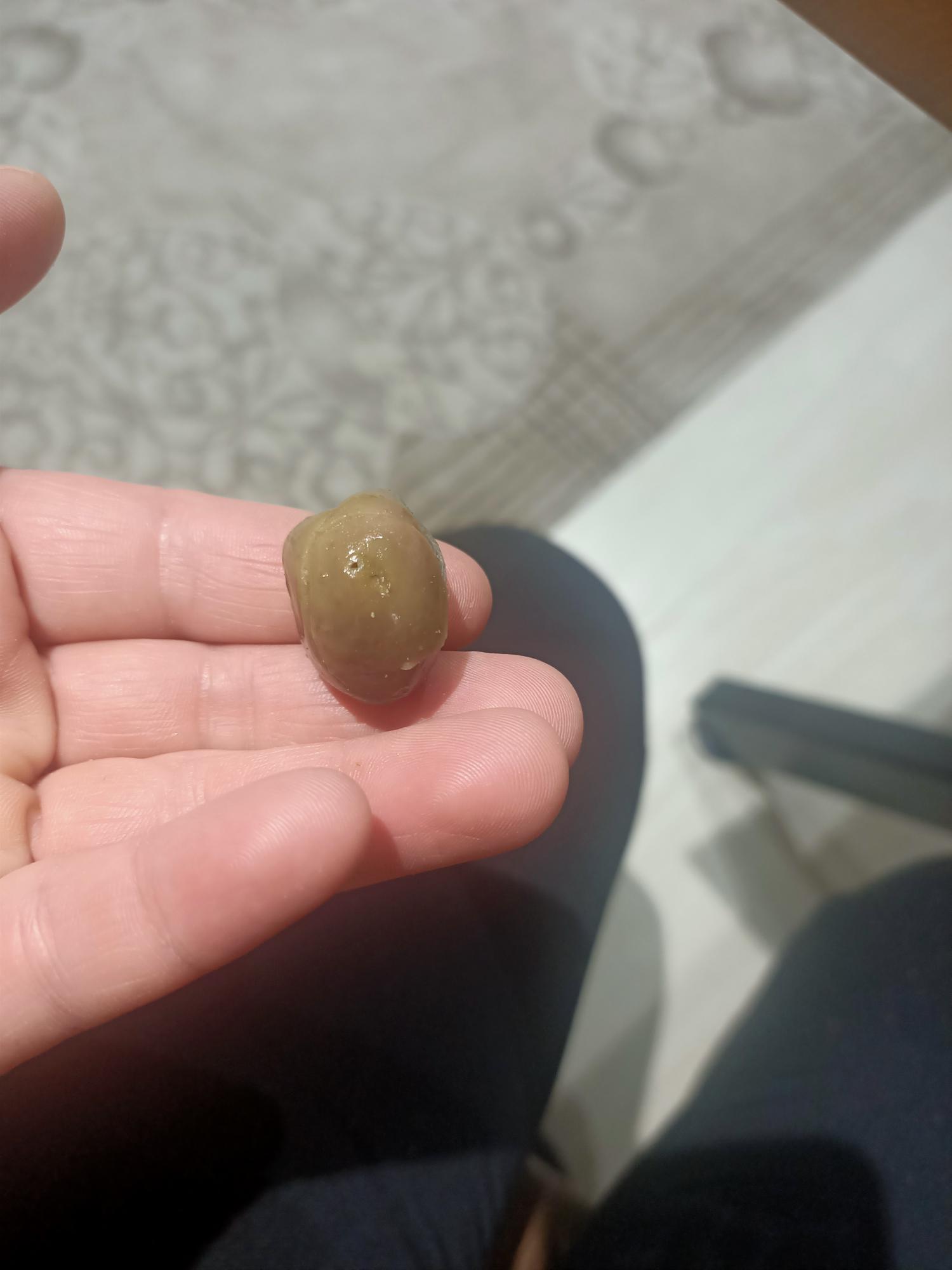 Ada Gross Zeytin Kurtlu Çıktı - Şikayetvar