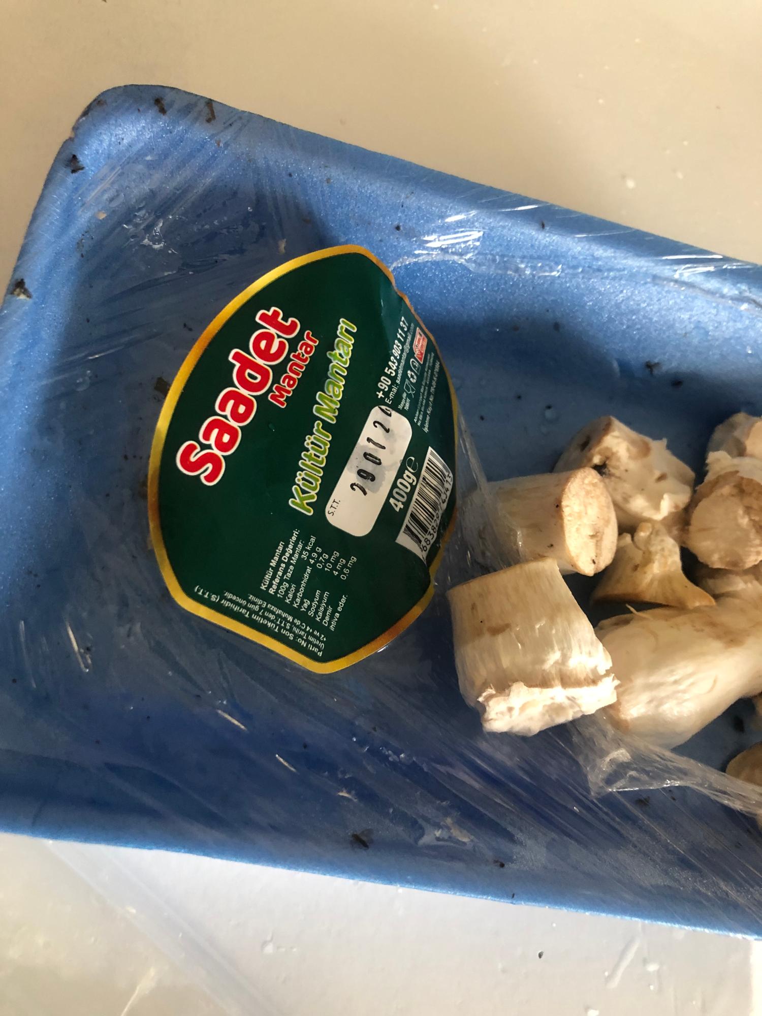 Saadet Mantar Bir Paket Sinek - Şikayetvar