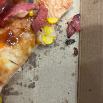 Sbarro Gennaro Şikayetleri - Şikayetvar