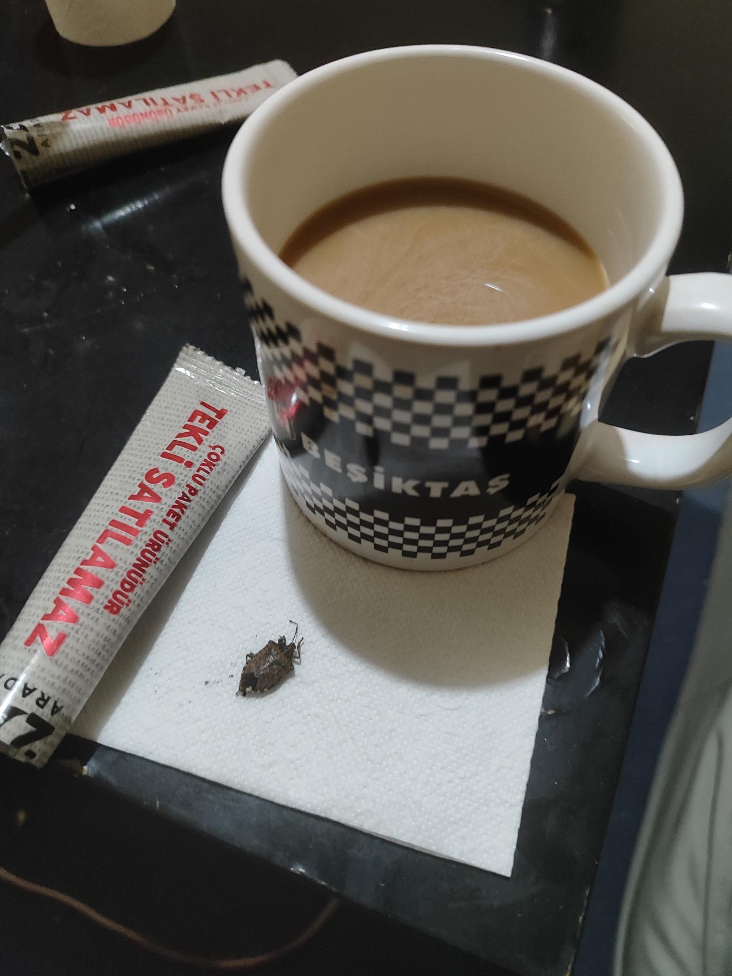 Nescafe İçinden Böcek Çıktı, Az Daha Yutacaktım Zor Çıkardım Ağzımdan ...