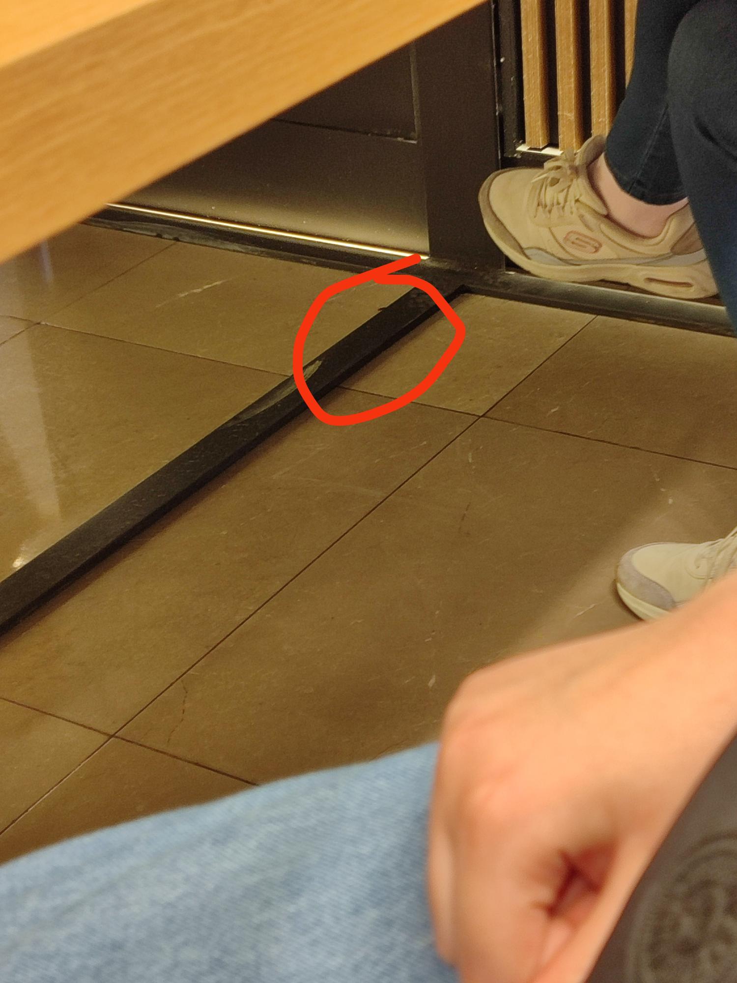 Trump Towers AVM Kara Böcek Kaynıyor - Şikayetvar