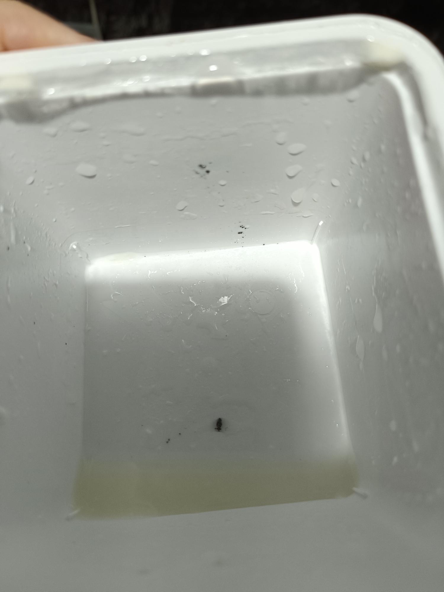 Ekici Peynir Ekici Beyaz Peyniri - Şikayetvar