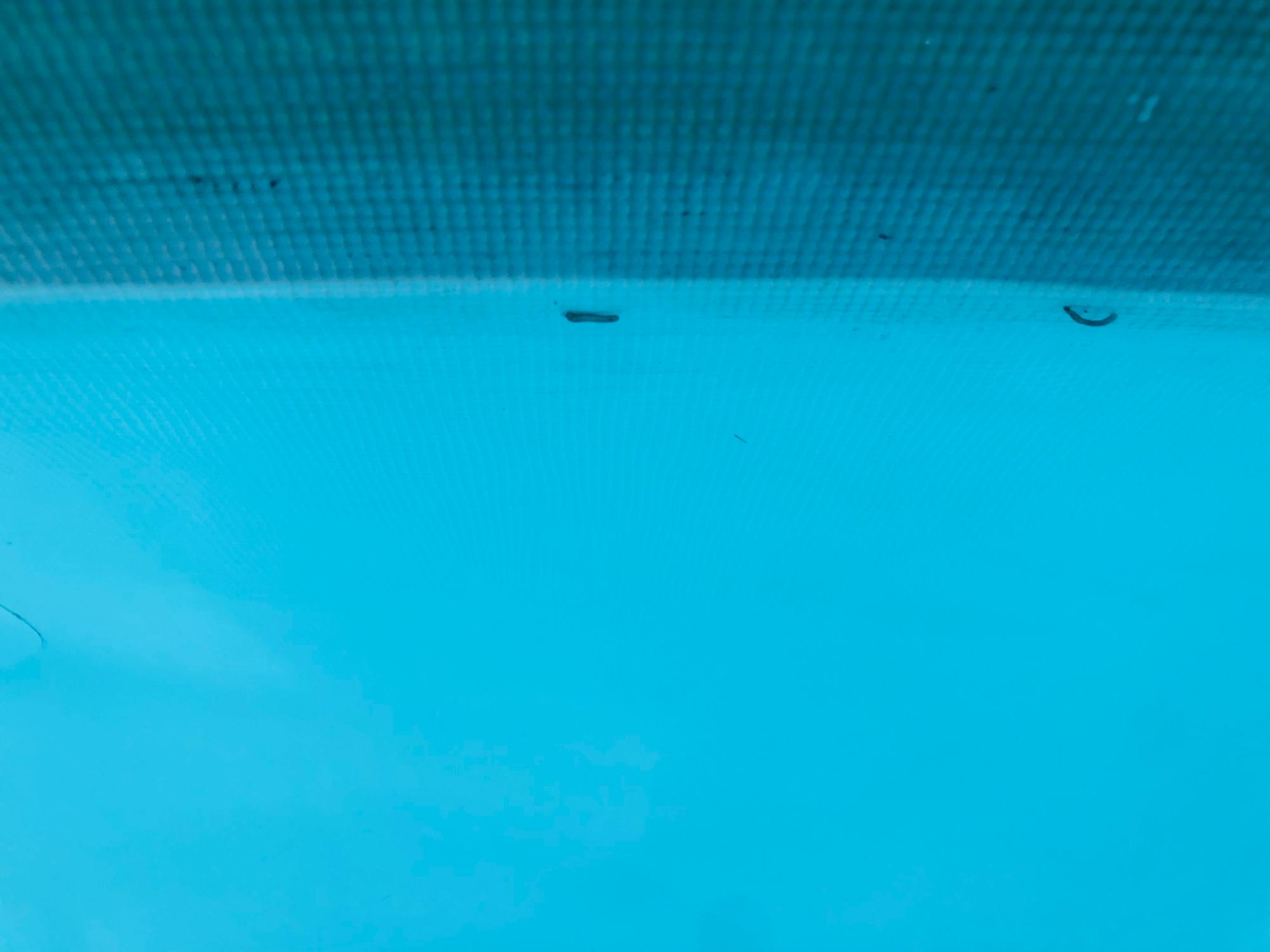 S'more Sapanca Glamping Hotel Havuzda Kurt Sorunu - Şikayetvar