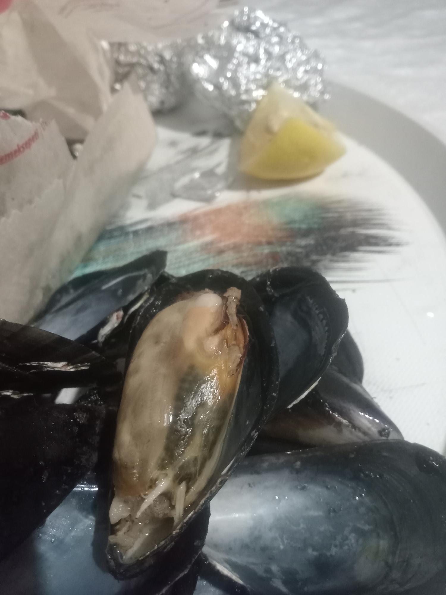 Midyeci Mesut Sümüklü Böcek Cıktı - Şikayetvar