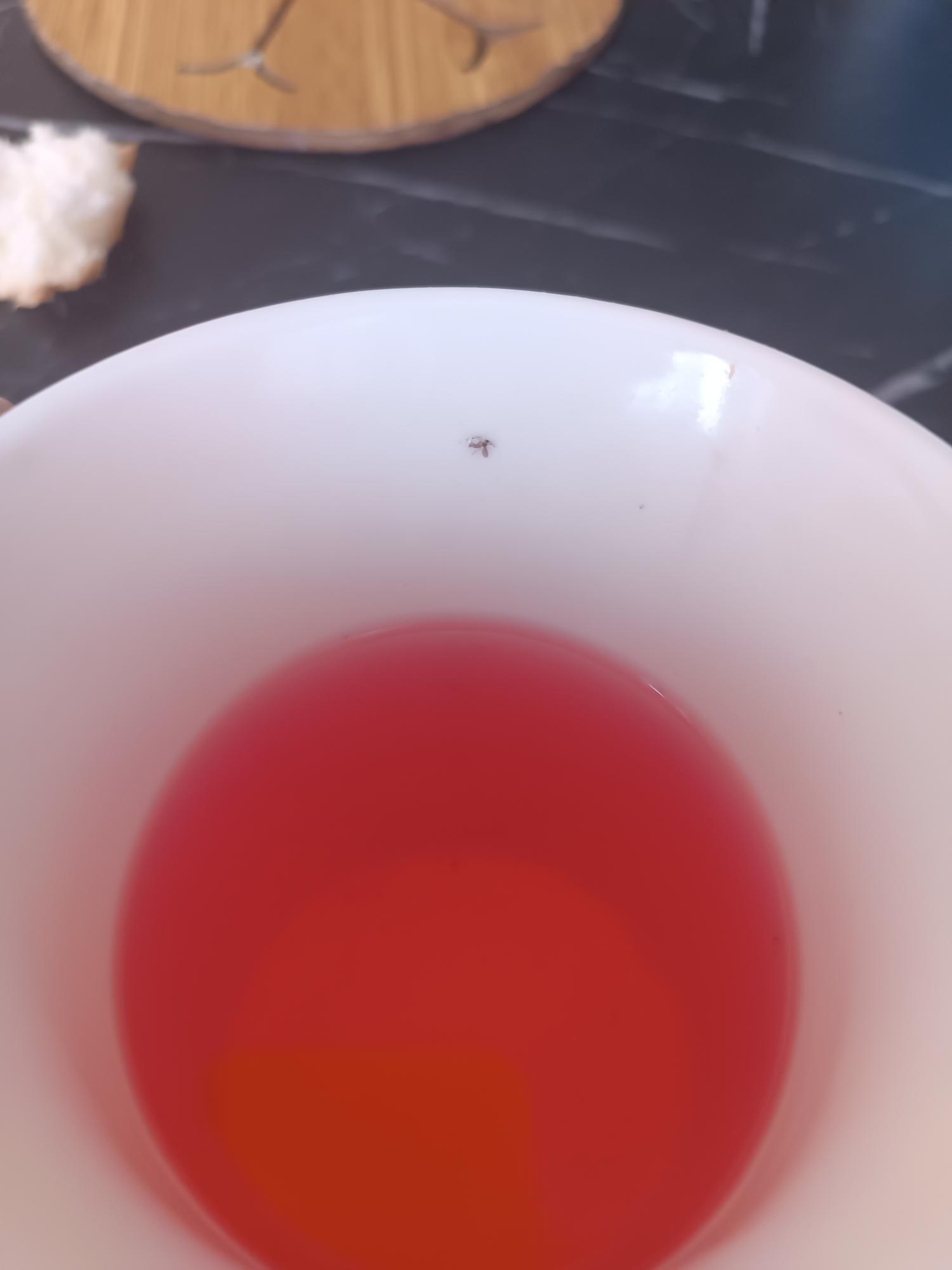 Diox Tea Çayında Sinek Çıktı - Şikayetvar