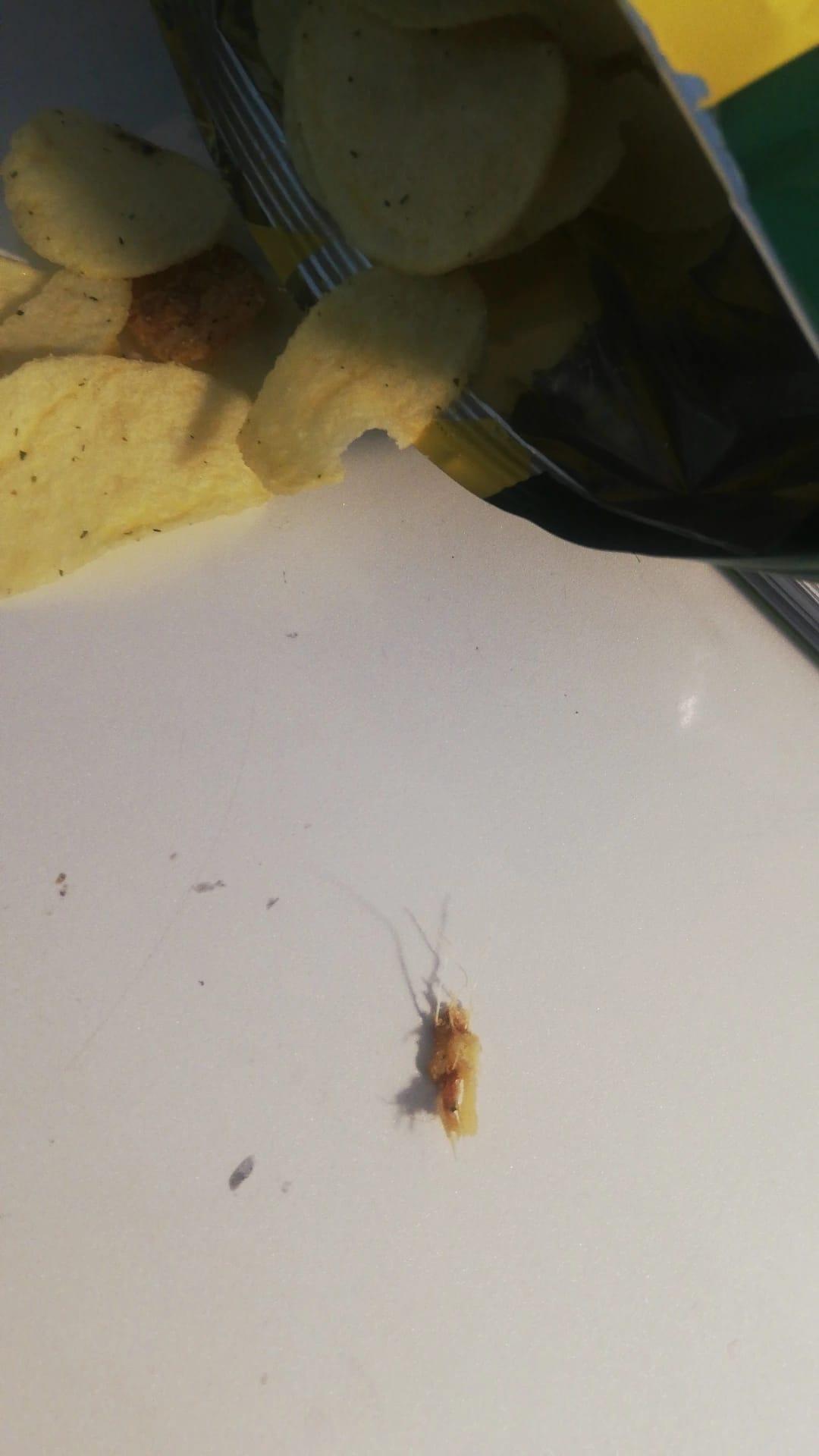 A101 Samba Cips Böcekli - Şikayetvar