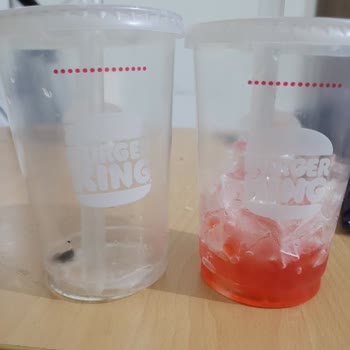 Burger King Bubble Tea De Dişli Çıktı - Şikayetvar