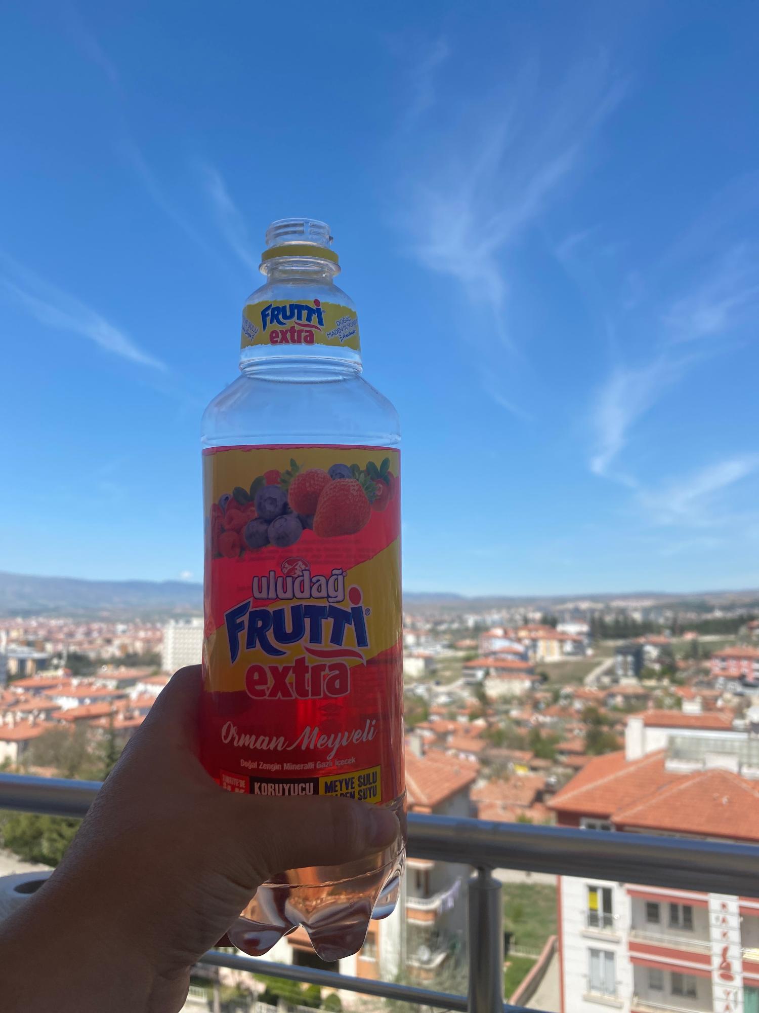 Uludağ İçecek Uludağ Frutti Extra Orman Meyveli Gazlı İçecek - Şikayetvar