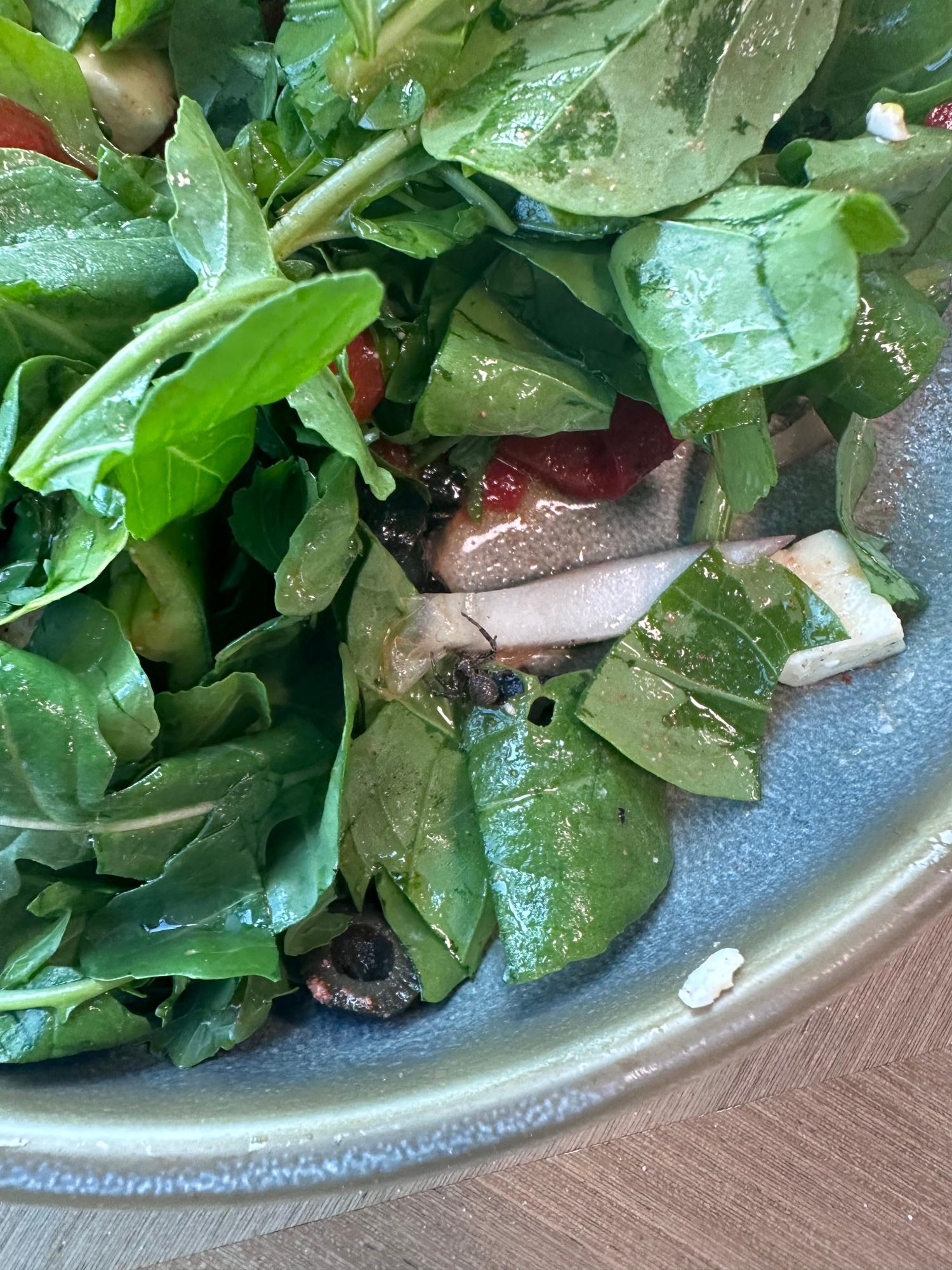 Turkuvaz Medya Turkuvaz Nevi Lokma Restaurant - Şikayetvar