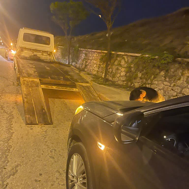 Zeplin Car Rental - Şikayetvar