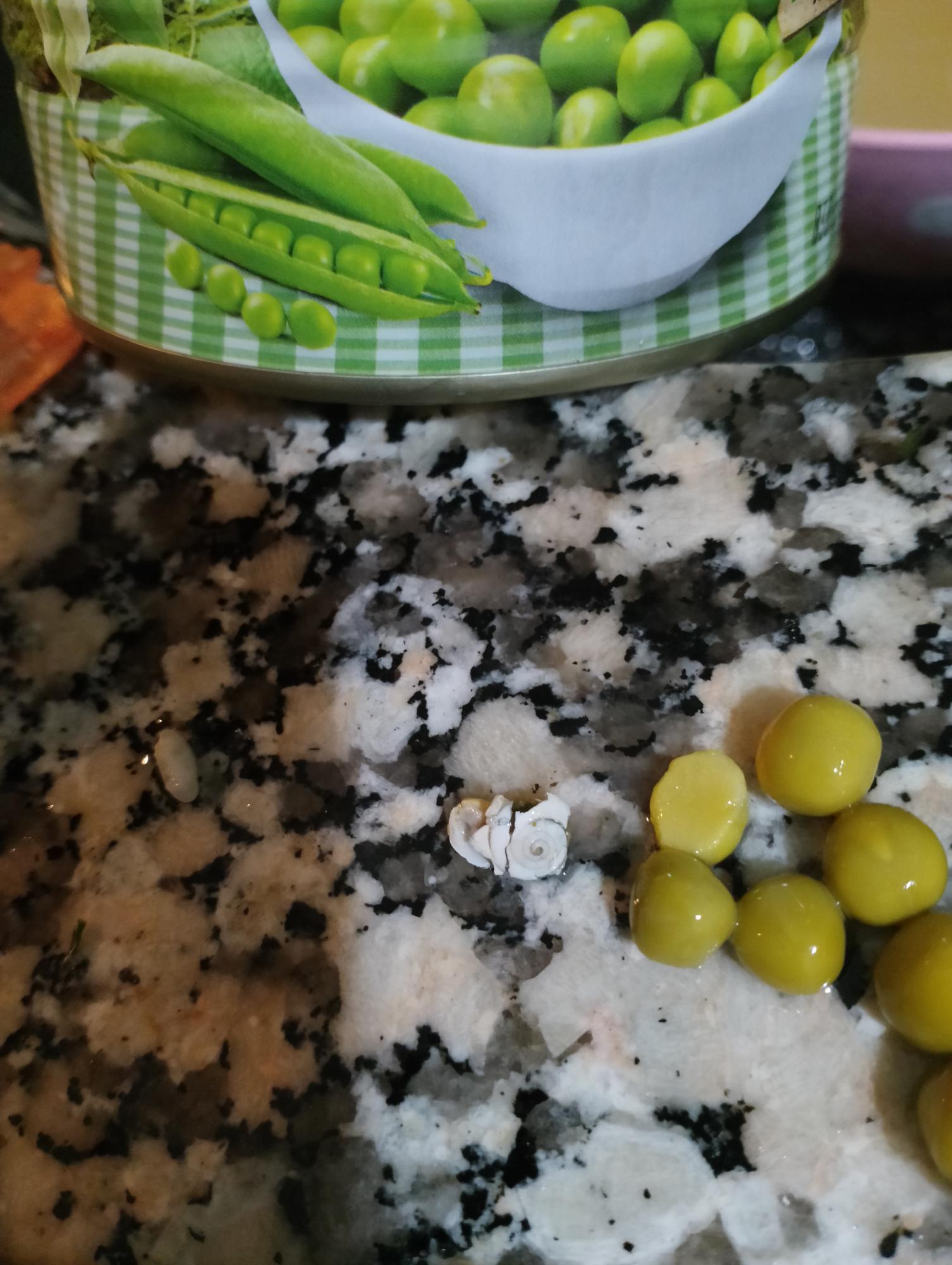 Tamek Konserve Sümüklü Böcek Çıktı - Şikayetvar