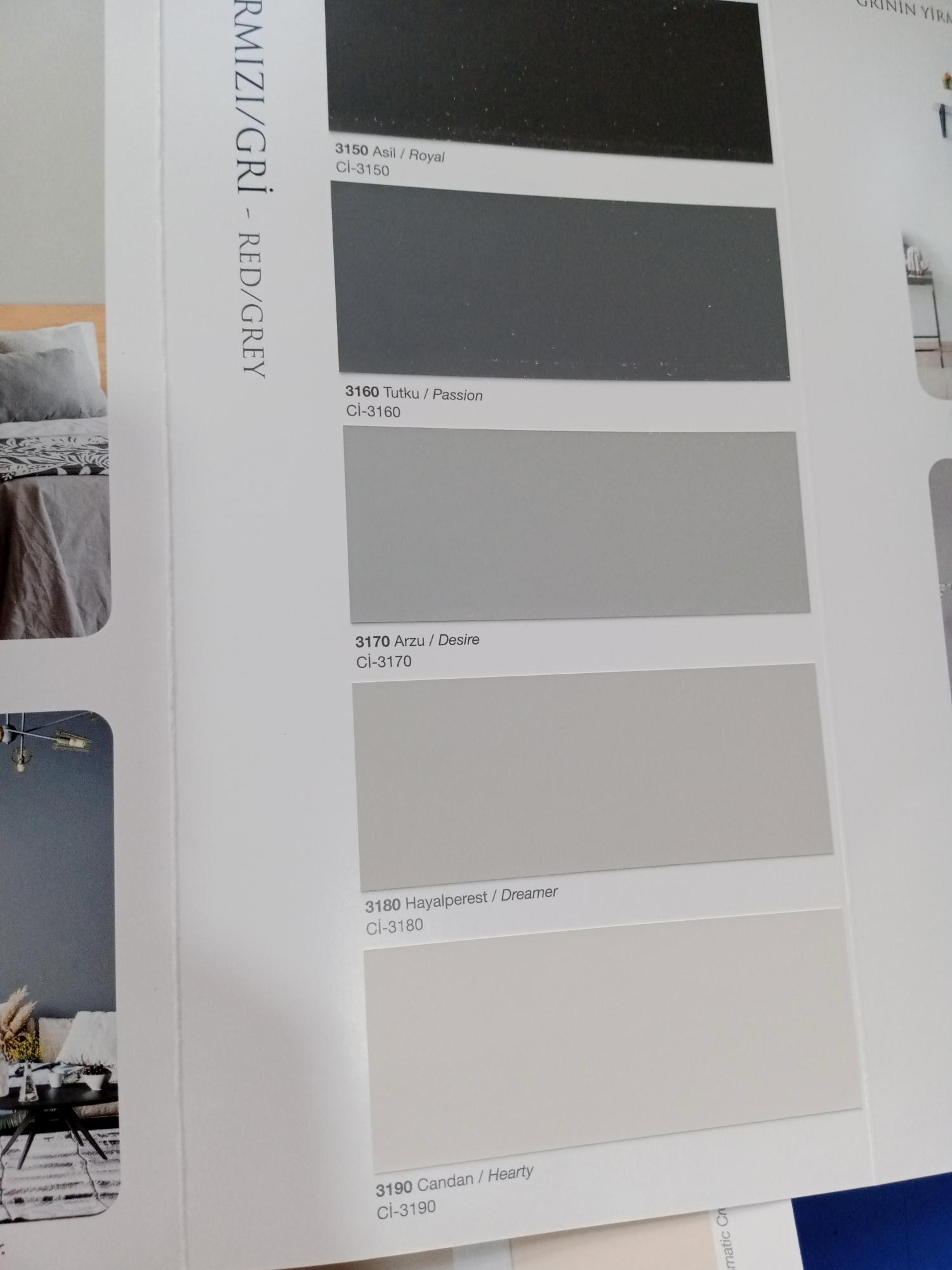 Polisan Hayalperest Gri Boya Sonucu Lila Renk Oluştu Yardımcı Olurmuşuz ...