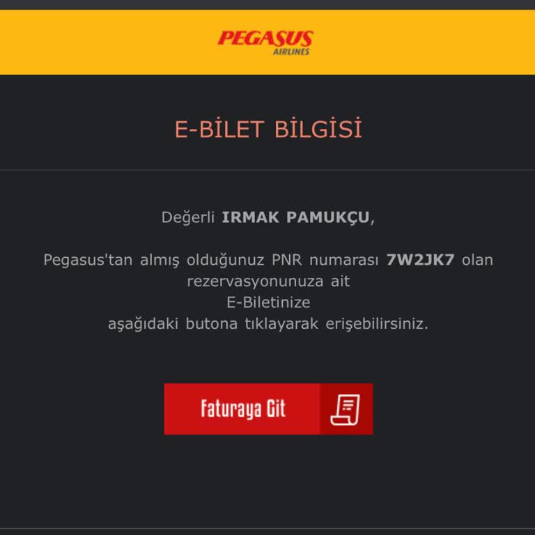Pegasus Check-in İşlemimi Yapmıyor - Şikayetvar
