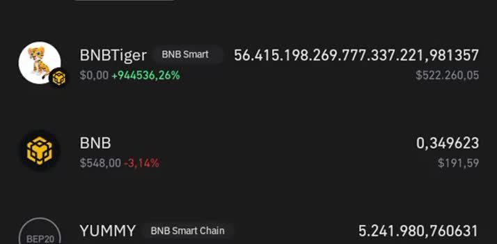 Trust Wallet BNB Tiger Inu Price Spike & Failed Swap - Xolvie