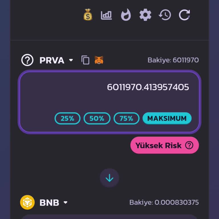 PancakeSwap Borsası ve Token Coin Şikayetleri - Şikayetvar