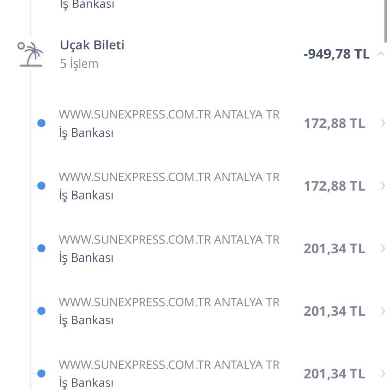 Sunexpress Kredi Kartından İki Kez Çekim Yapmış - Şikayetvar