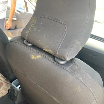 Zeplin Car Rental - Şikayetvar