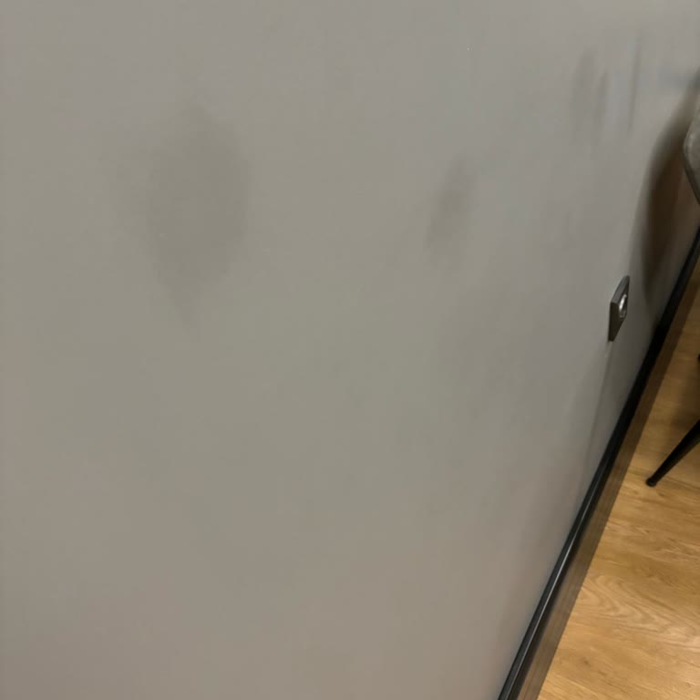 Filli Boya Momentum Max Silinebilir Boya - Şikayetvar