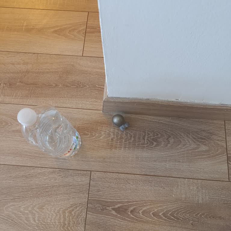 Palm Wings Ephesus Kuşadası Otel Şikayeti - Şikayetvar