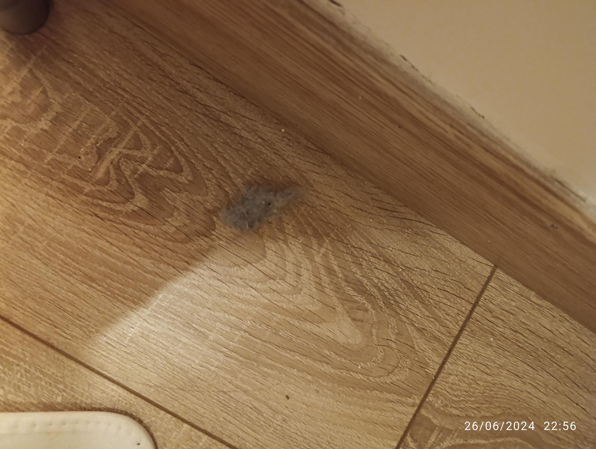 Palm Wings Ephesus Kuşadası Otel Şikayeti - Şikayetvar