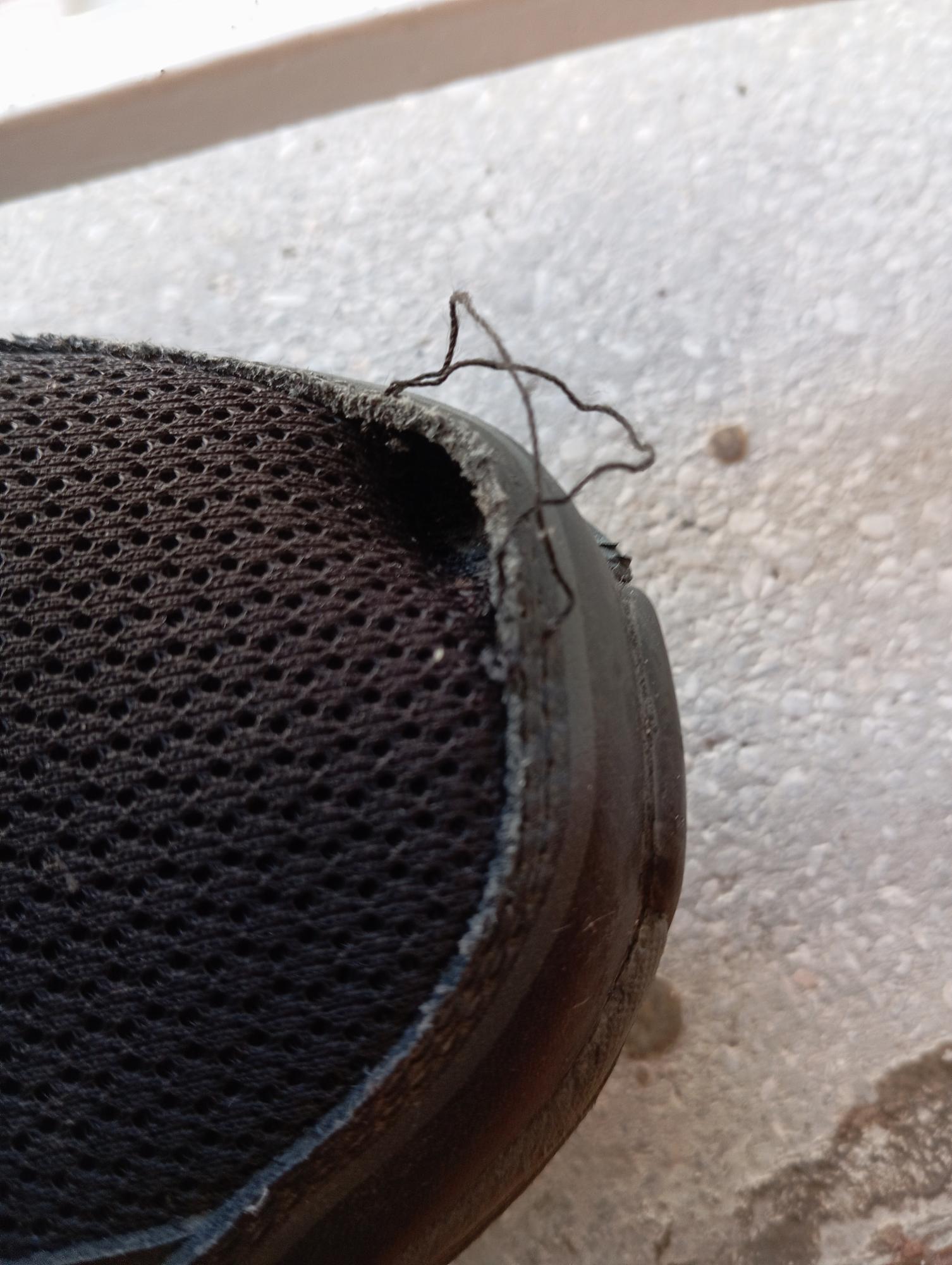 Six Months Old Skechers Shoes Seams Started Falling Apart - Xolvie