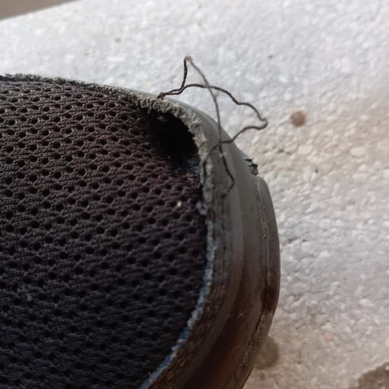 Skechers Read Customer Complaints and Reviews - Xolvie