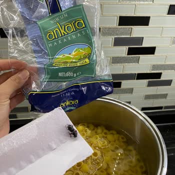 Nuh'un Ankara Makarnası Nuhun Ankara Mantı Böceği - Şikayetvar