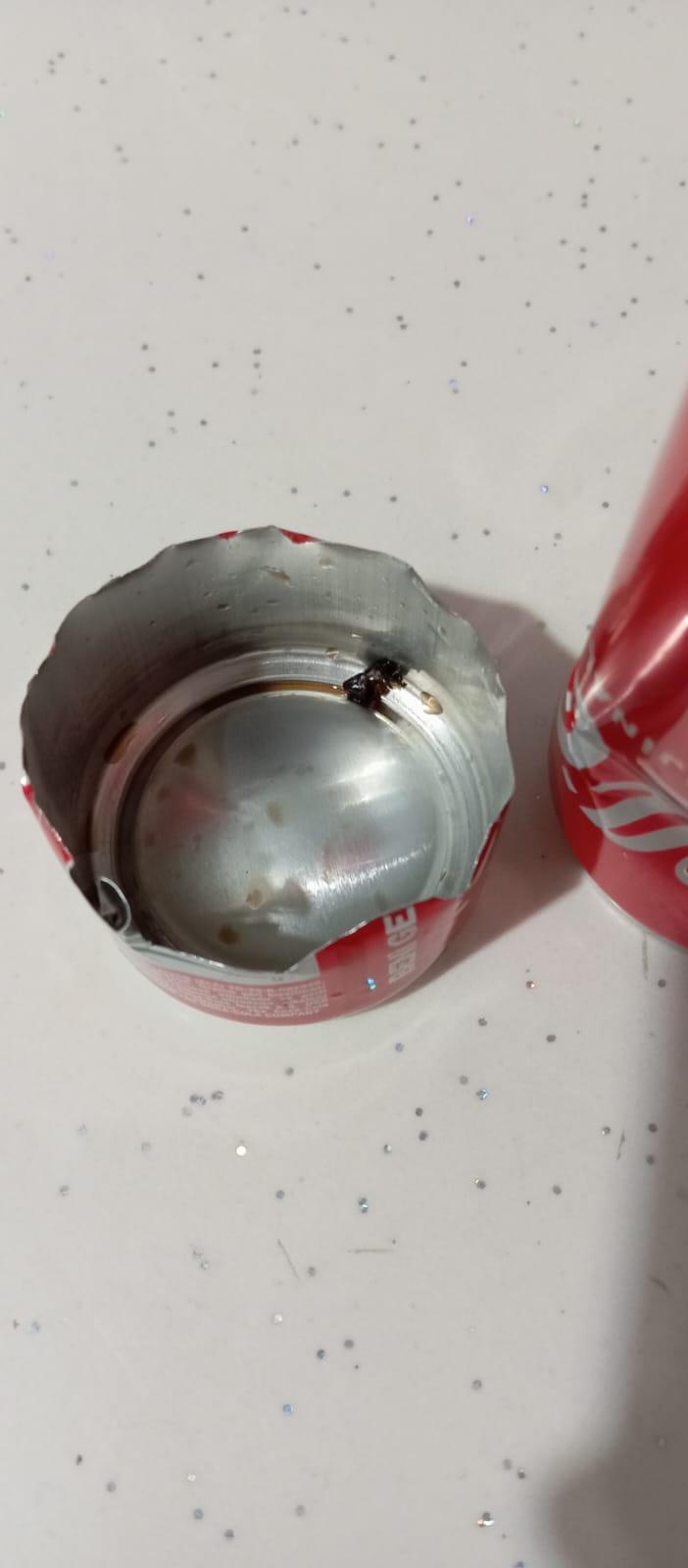 Coca-Cola'dan Böcek Çıkması - Şikayetvar