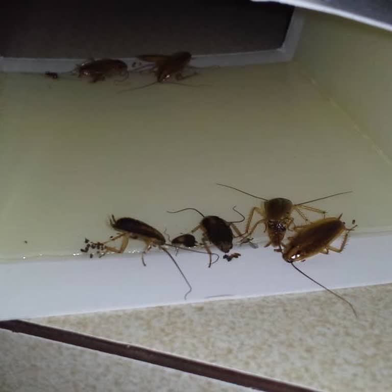 Buca Belediyesi İzmir Şikayetleri - 3/5 - Şikayetvar