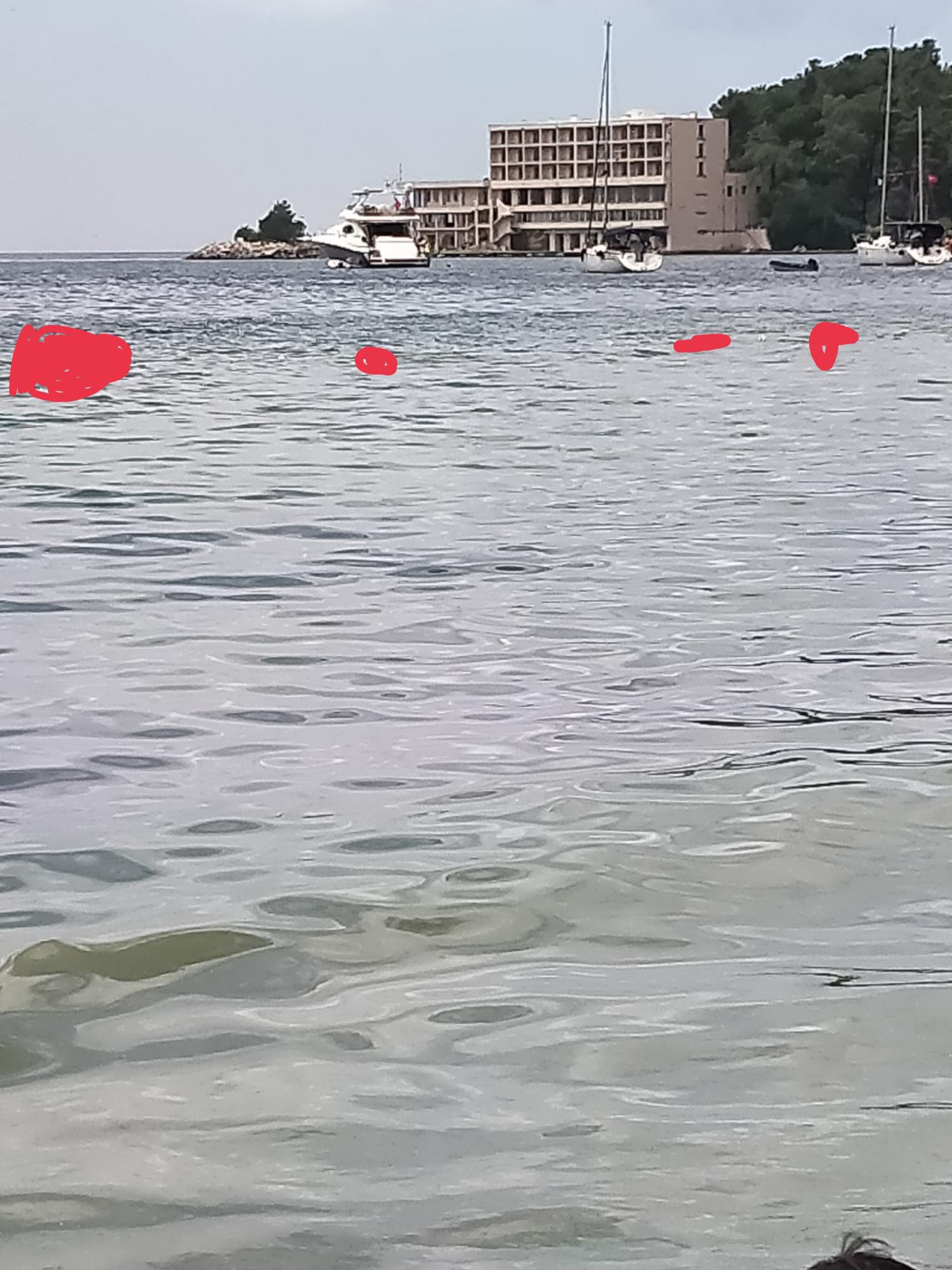 Bayramoğlu Kadınlar Plajı Çok Kirli Ve Tekneler Falan Çok Yakın ...